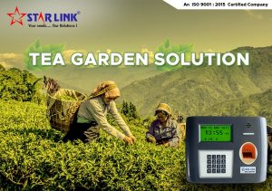 Tea Garden Solution: An Effective Step Towards Workforce Management At Tea Gardens - StarLink India